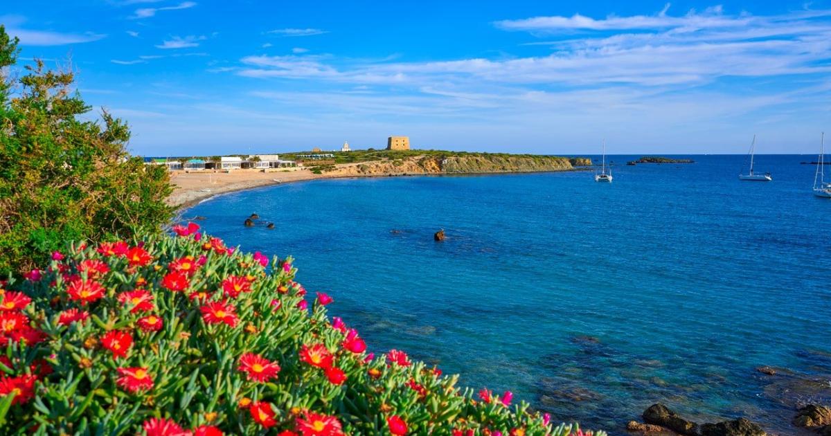 The 5 tips to go to the island of TABARCA ☀️ 2025